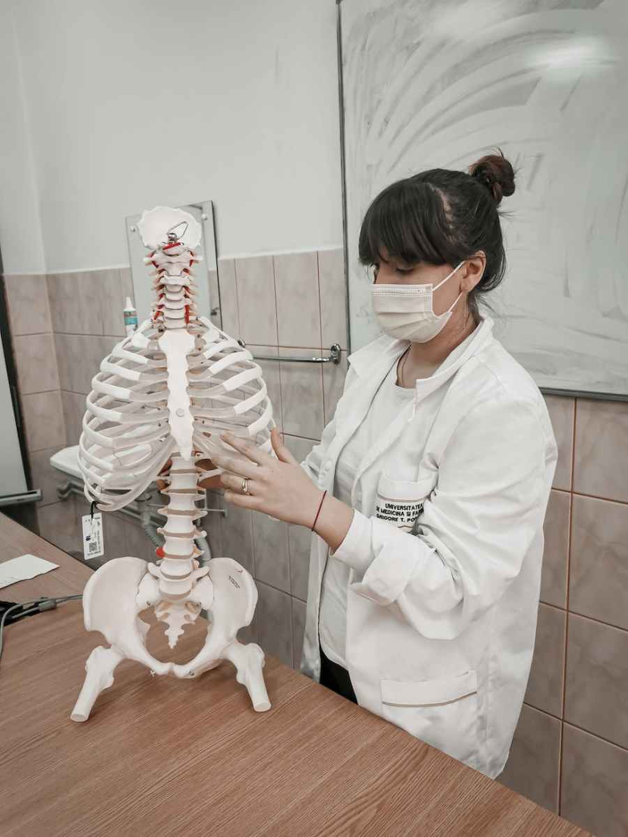 Spinal movements: Summary – Ab-Sutra Wellness and Fitness